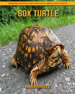 Box Turtle: Amazing Photos and Fun Facts about Box Turtle by Emma ...