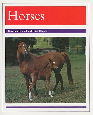 Horses by Beverley Randell - Alibris